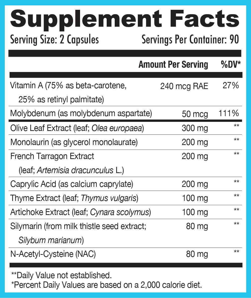 Gut Defender+ – Vidal Coaching