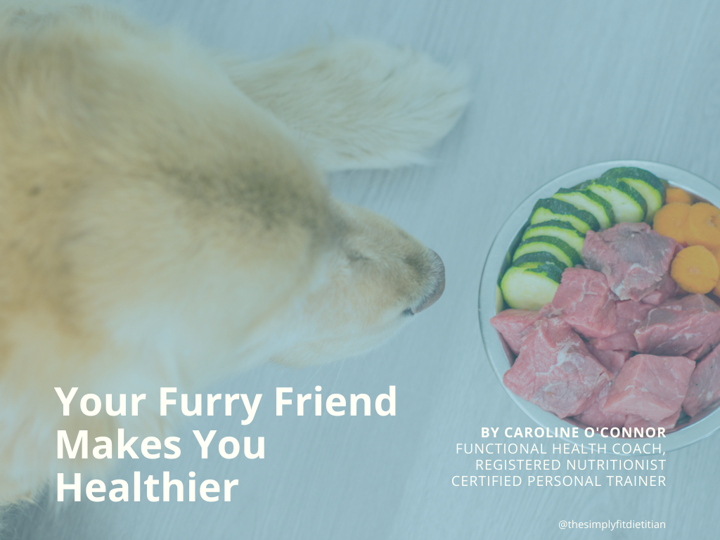 Your Furry Friend Makes You Healthier! | Healthy Lifestyle Tips – Vidal ...